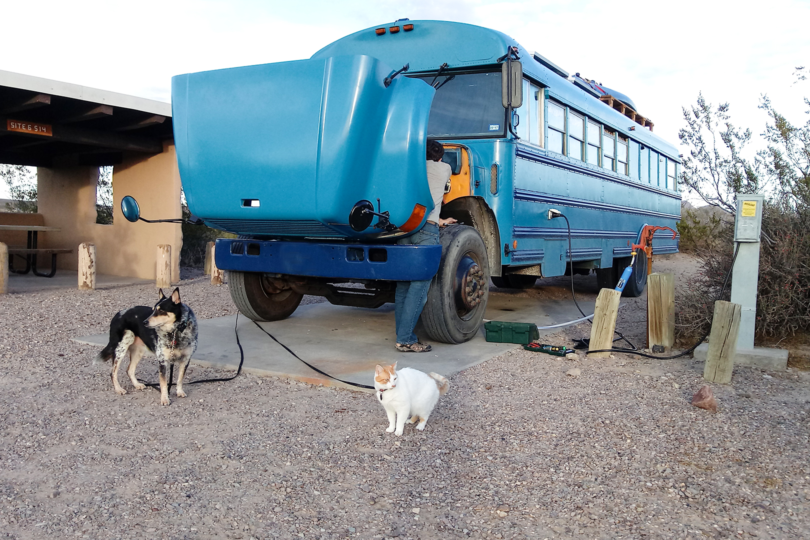 The Reality of Living On a Bus: It’s Not All Glamour – We Got Schooled